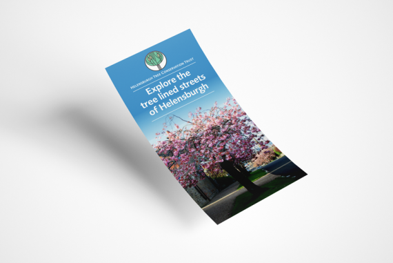 Street Tree Leaflet - Helensburgh Tree Conservation Trust